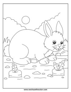 30 Coloring Pages of Bunny Rabbits