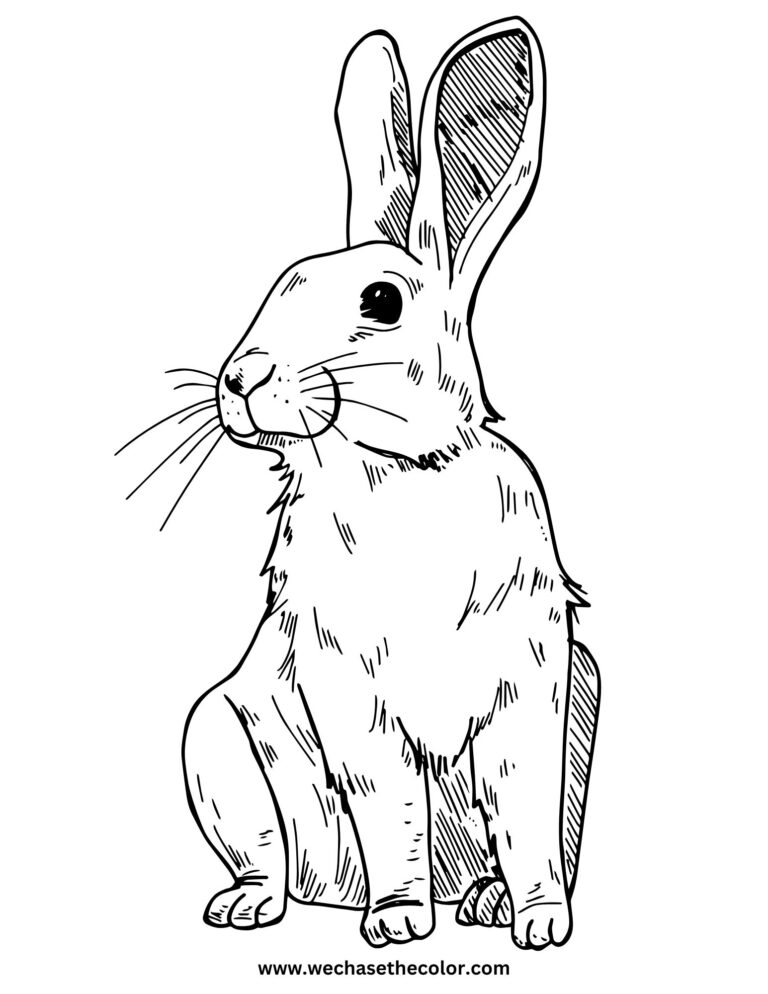30 Coloring Pages of Bunny Rabbits