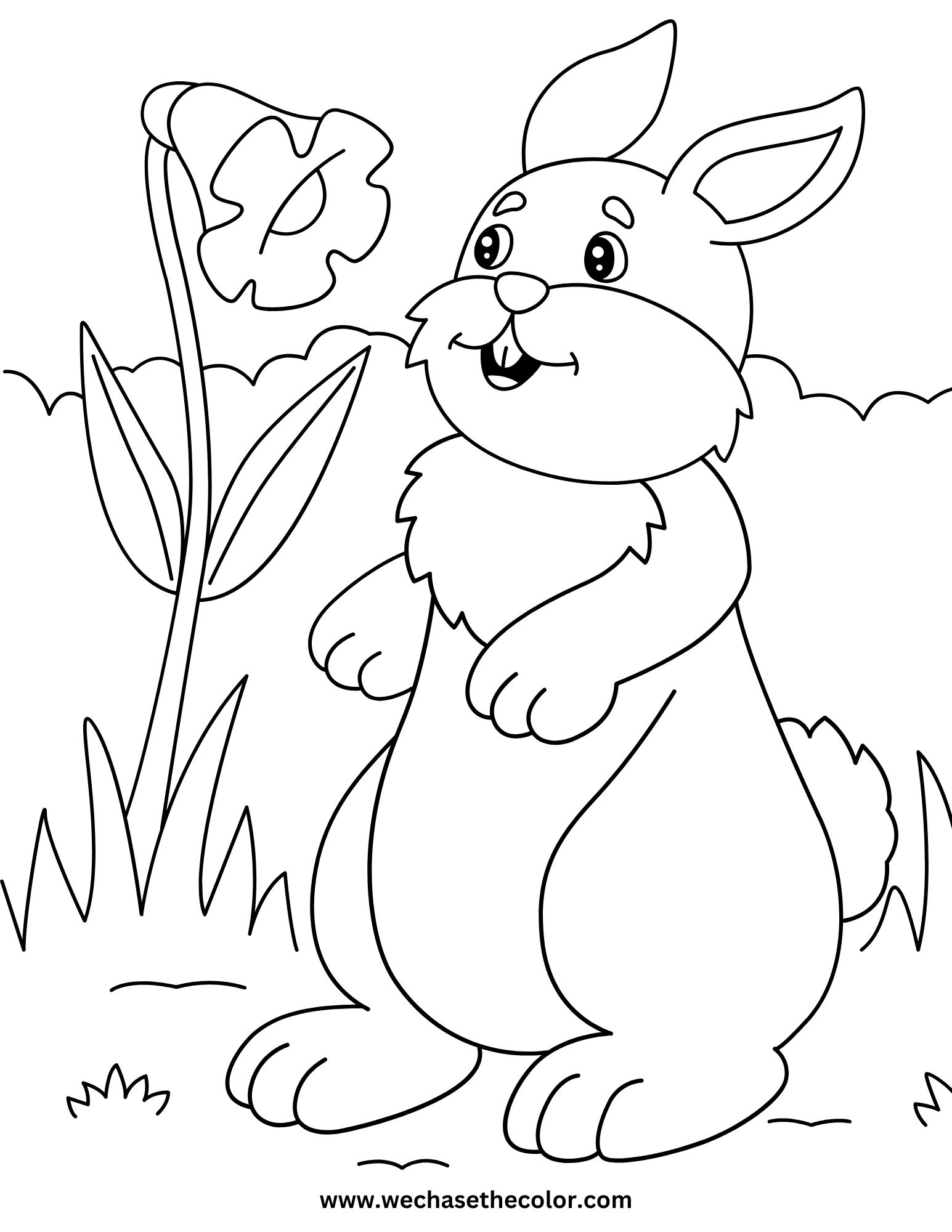 30 Coloring Pages of Bunny Rabbits