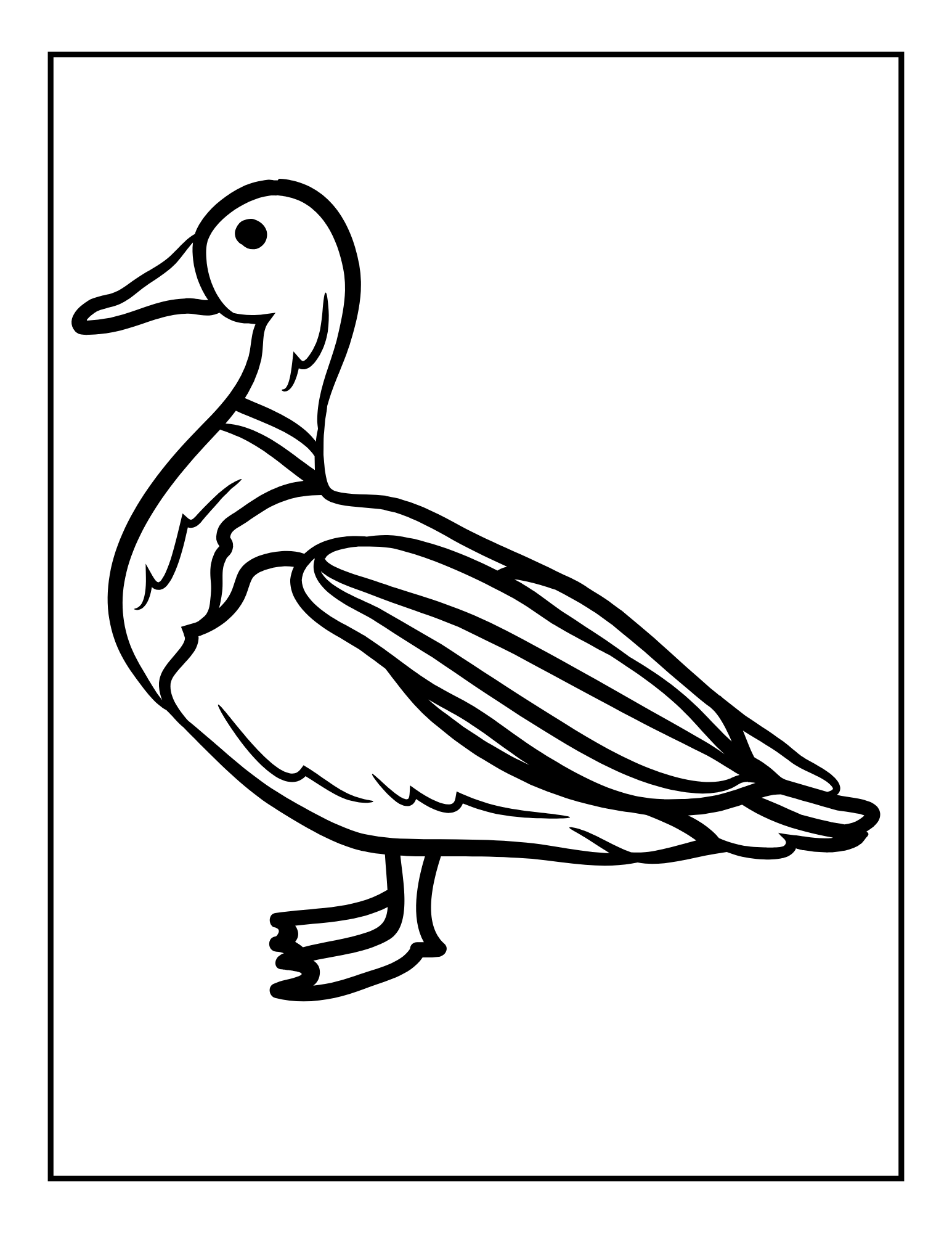 Cute Duck Coloring Pages